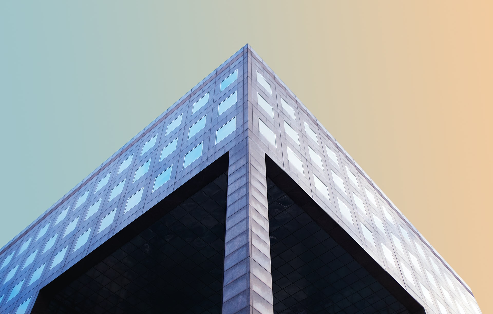 Beale & Co introduces new partner