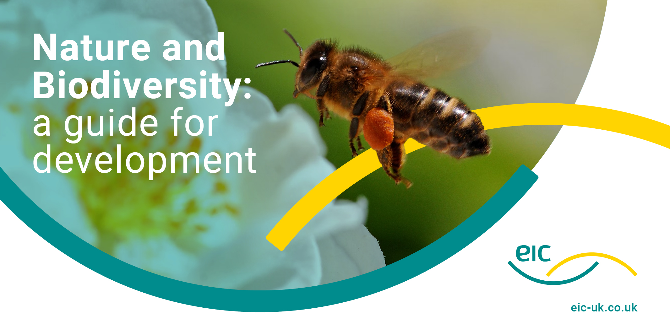 New Nature and Biodiversity Guide for Project Managers from EIC
